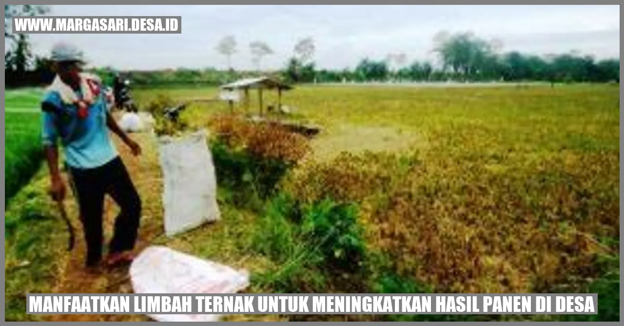 Manfaatkan Limbah Ternak untuk Meningkatkan Hasil Panen di Desa - Margasari Manfaatkan Limbah Ternak untuk Meningkatkan Hasil Panen di Desa - Margasari